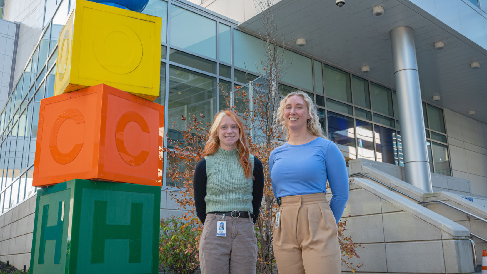 Daemen University - Master of Public Health - Daemen University